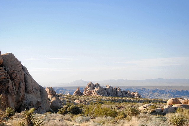 Joshua Tree National - Free photo on Pixabay