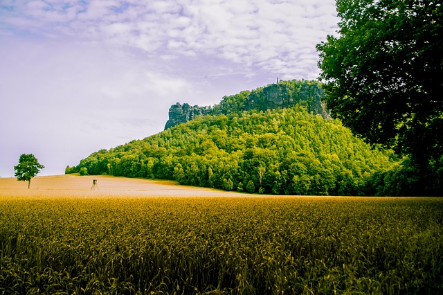 Elba Sandstone Mountains Campo - Foto gratuita no Pixabay - Pixabay
