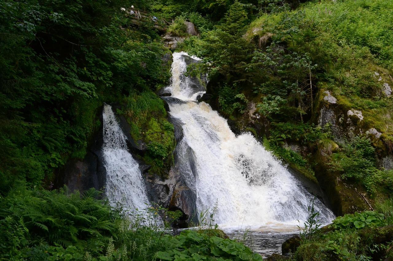 20+ Free Triberg Waterfalls & Waterfall Images - Pixabay