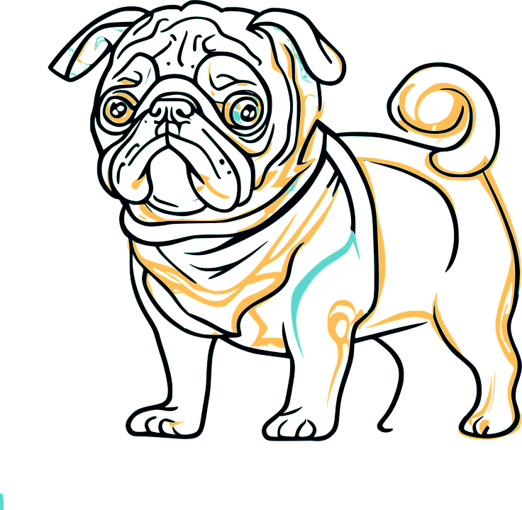 Pug Cachorro Canino Bicho De - Gráfico vetorial grátis no Pixabay - Pixabay