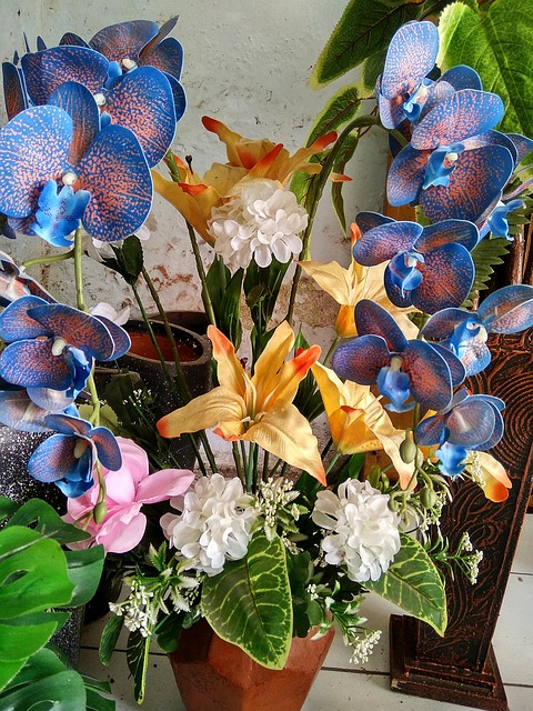 Bunga Biru Alam - Foto gratis di Pixabay - Pixabay
