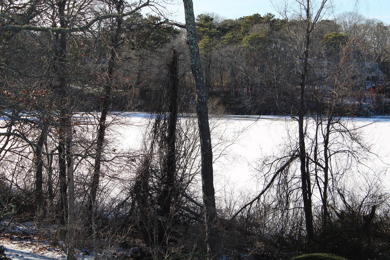 Pond In Winter - Free photo on Pixabay - Pixabay
