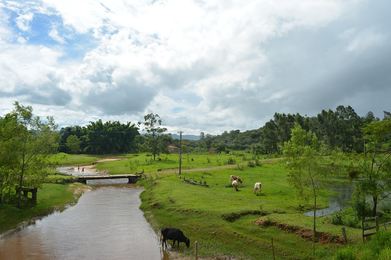 Natureza Paisagem Riacho - Foto gratuita no Pixabay - Pixabay