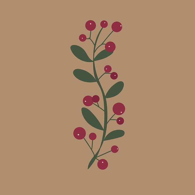 Download Leaves, Berries, Boho. Royalty-Free Stock Illustration Image ...