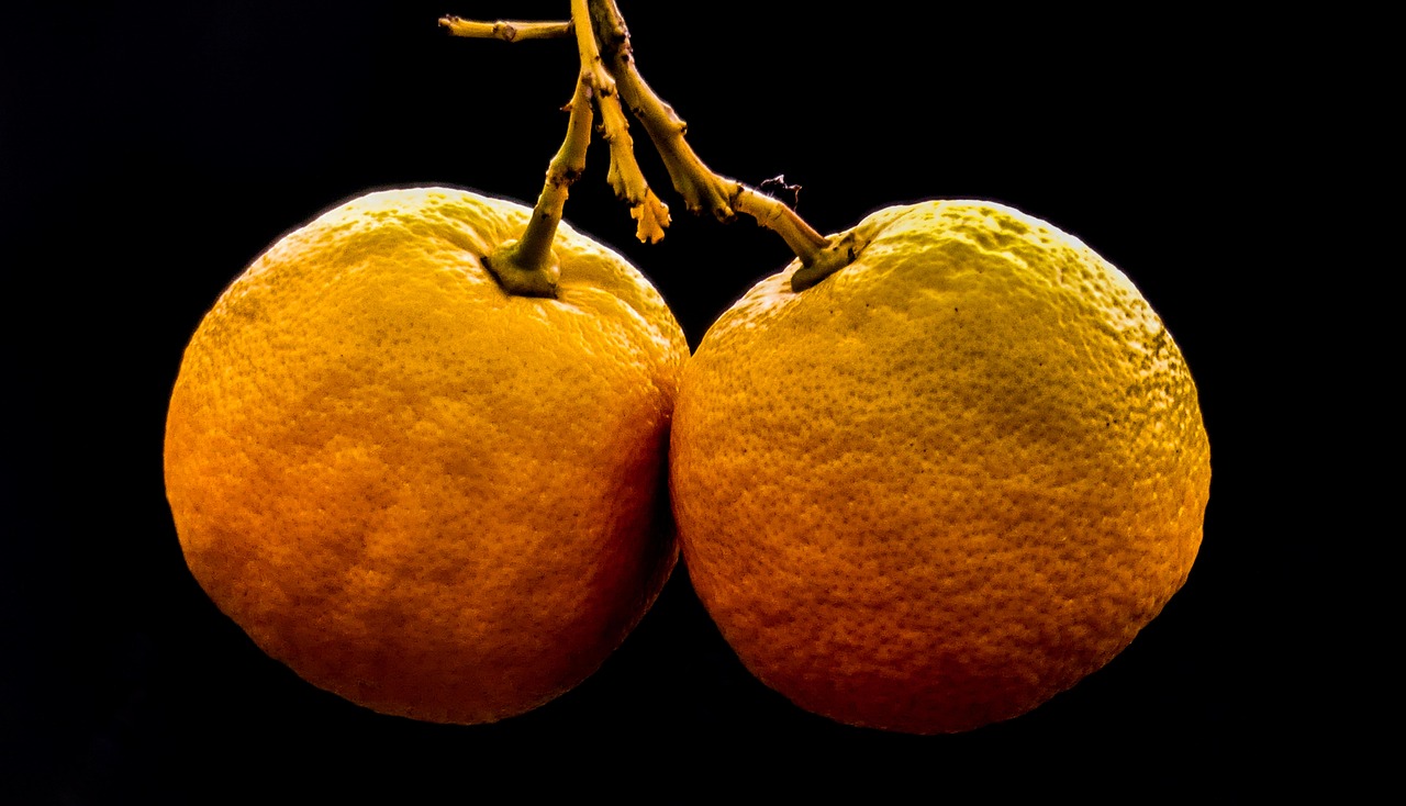 Orange Obst - Kostenloses Foto auf Pixabay - Pixabay