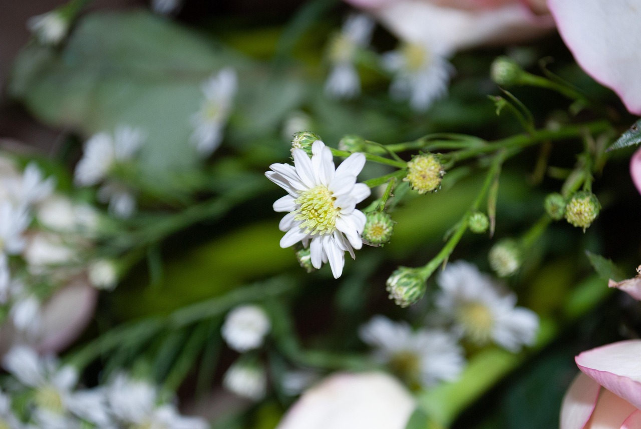 Bunga-Bunga Hijau Dedaunan - Foto gratis di Pixabay - Pixabay