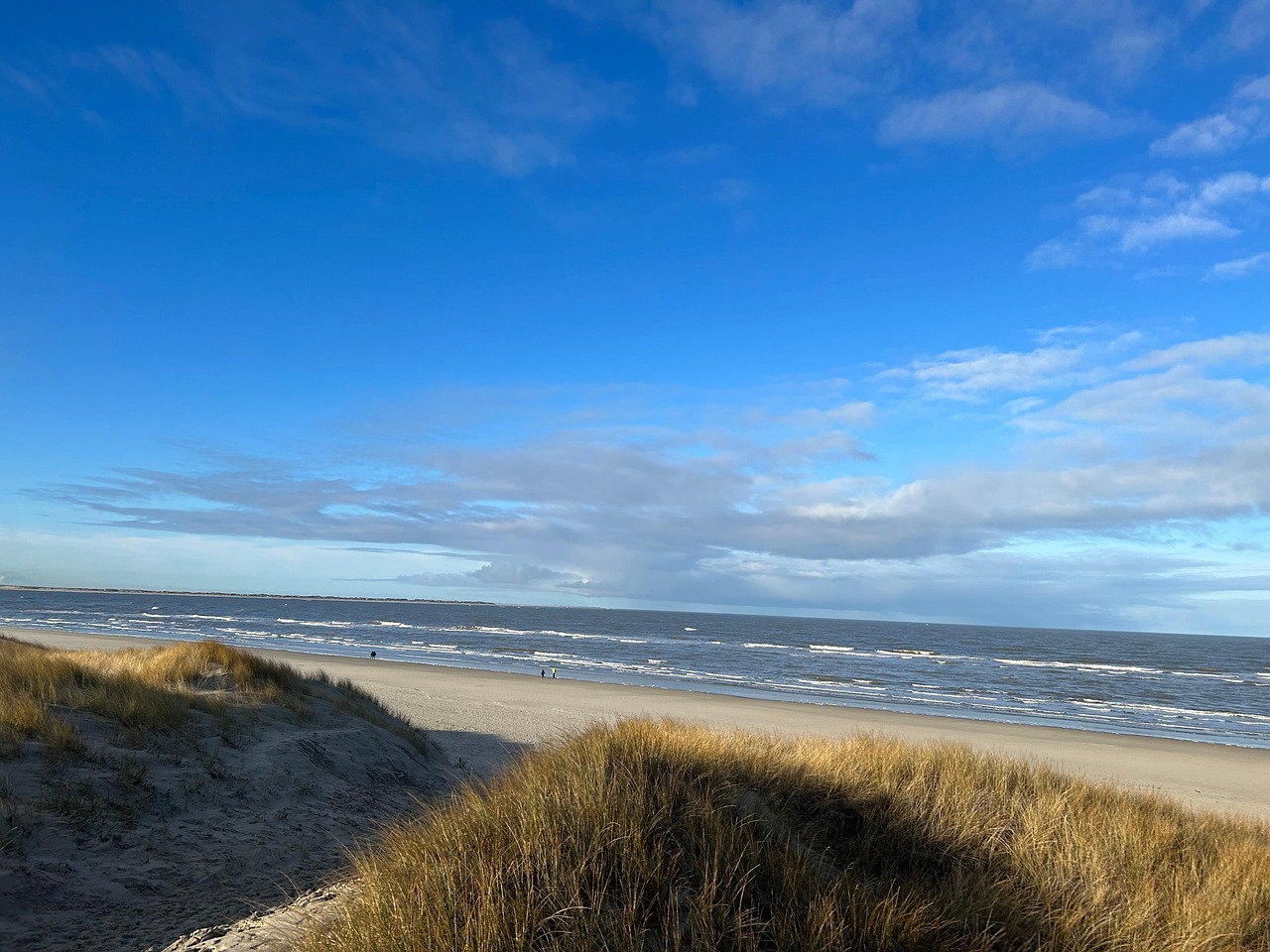 North Sea Sand Dunes - Free photo on Pixabay - Pixabay