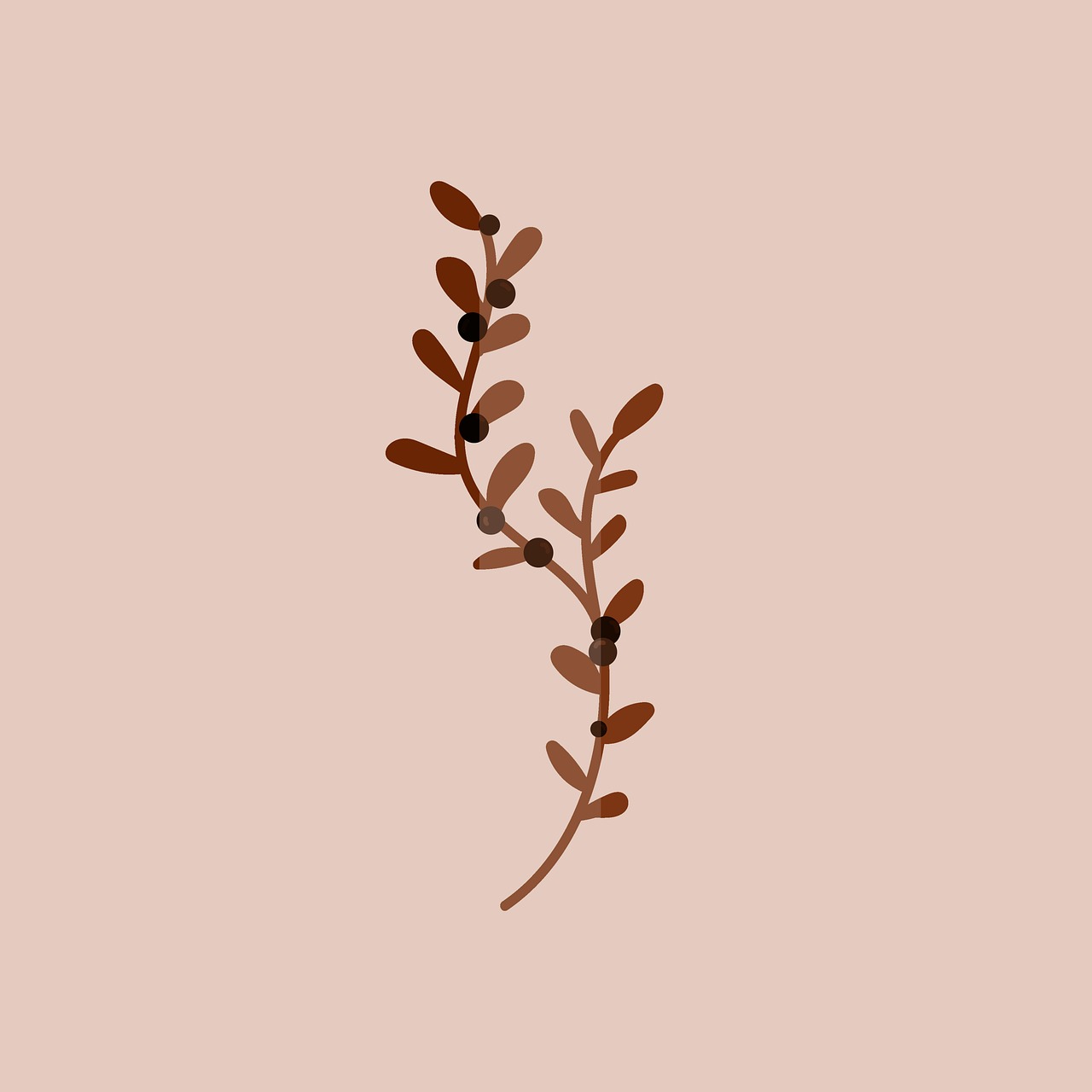 Bohemian Berry Boho - Gambar gratis di Pixabay - Pixabay