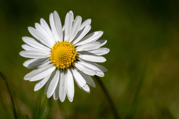 1,000+ Free Boelie & Pregnant Images - Pixabay