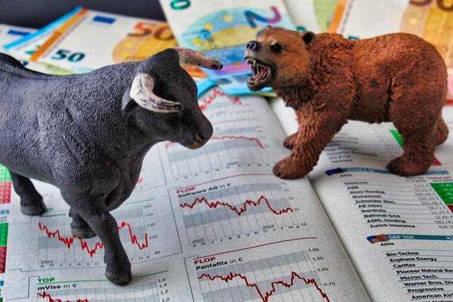 Bull And Bear Stock - Free photo on Pixabay - Pixabay
