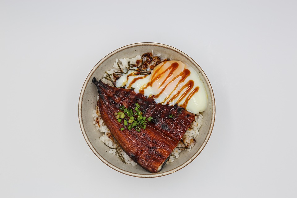 Unagi Oeuf Onsen Poisson Du - Photo gratuite sur Pixabay - Pixabay