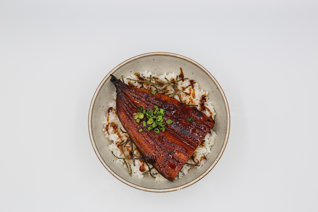 Unagui Huevo Onsen Pez Carne De - Foto gratis en Pixabay - Pixabay
