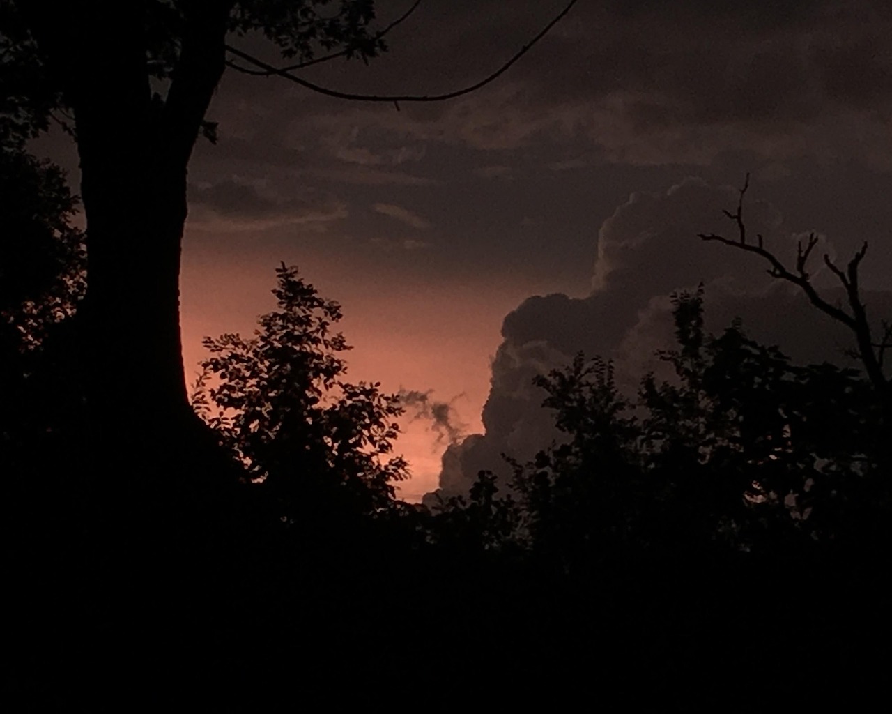 Langit Merah Di Malam Hari Siluet Foto Gratis Di Pixabay Pixabay