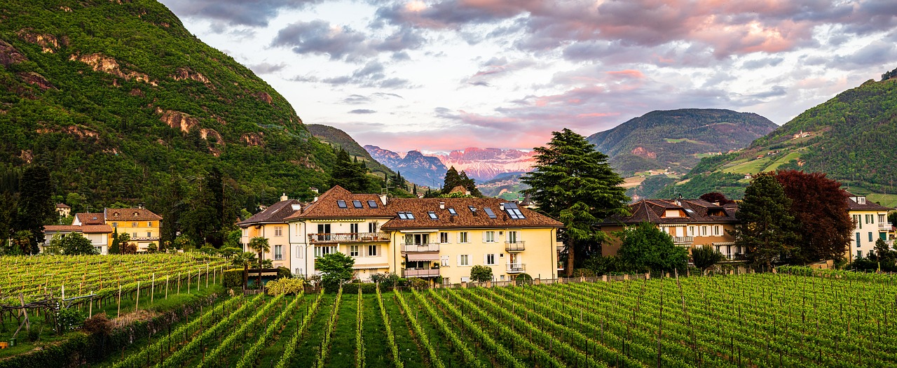 Vineyard Estate Countryside - Free photo on Pixabay
