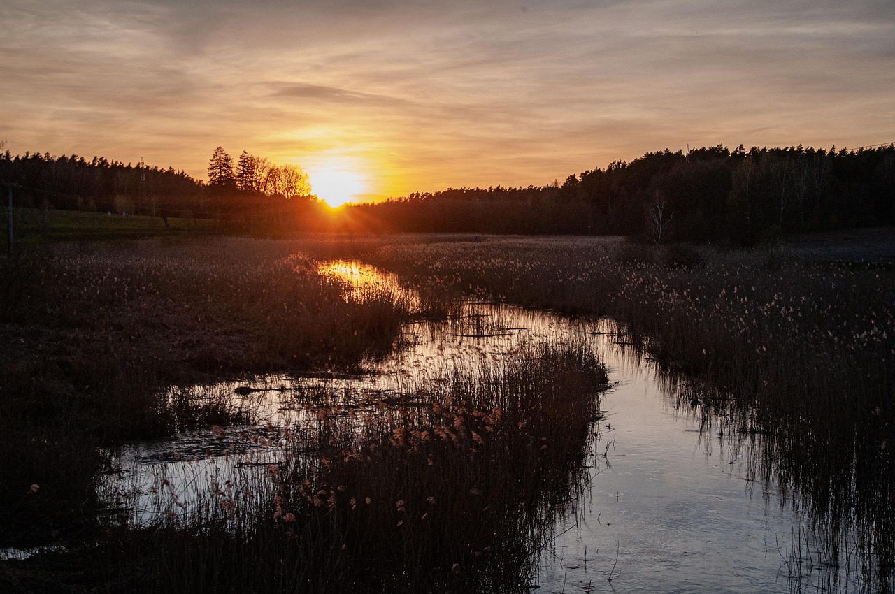 Fleuve Nature Paysage - Photo gratuite sur Pixabay - Pixabay