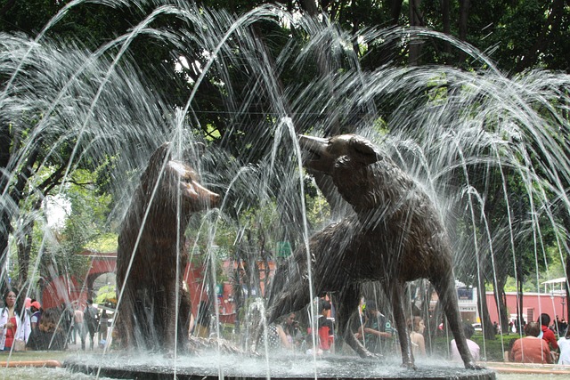 Wolves Fountain Water - Free photo on Pixabay - Pixabay