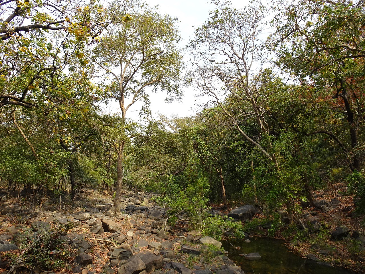 Cataratas Pandav Cuevas Vindhyas - Foto gratis en Pixabay - Pixabay