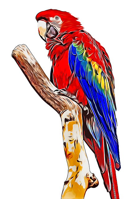 Mais de 70.000 imagens grátis de Arara Desenho e Arara - Pixabay
