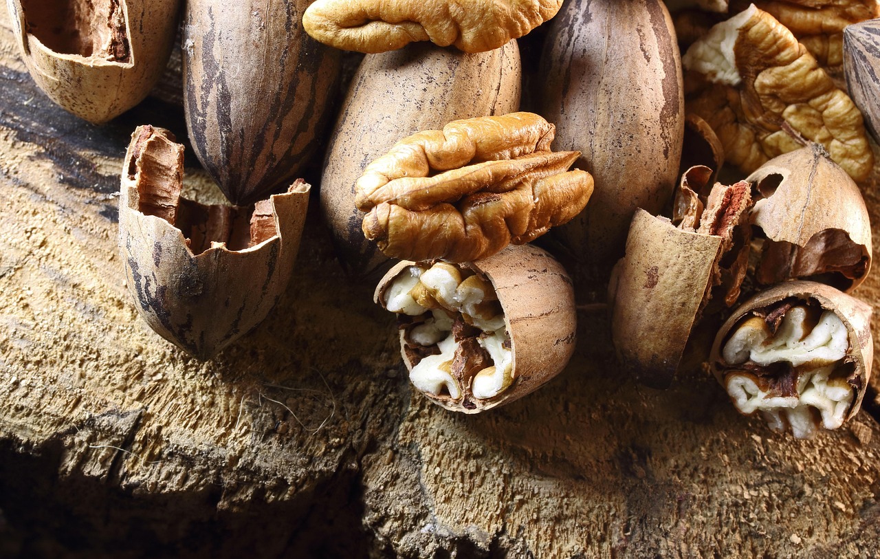 Pecan Nuts Whole Shelled - Free photo on Pixabay