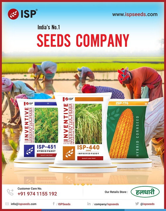 Seeds Company In India Seed - Free photo on Pixabay - Pixabay