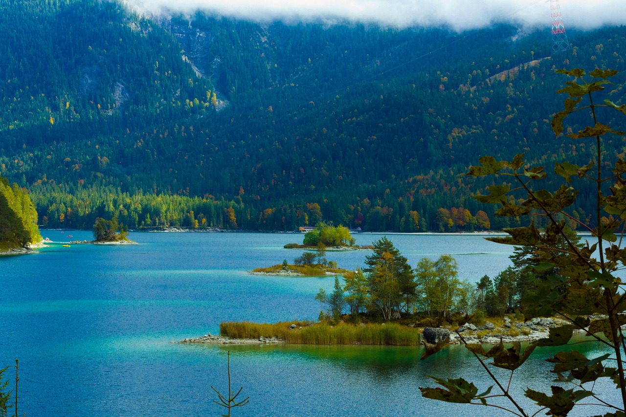 Natur Walld Alpen - Foto gratis en Pixabay