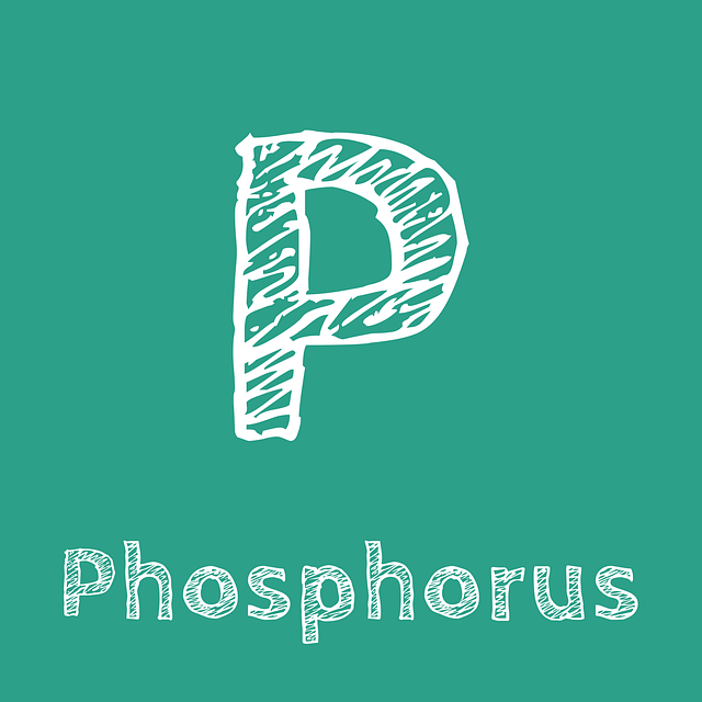 Download P Mineral Phosphorus Mineral Royalty-Free Stock Illustration ...