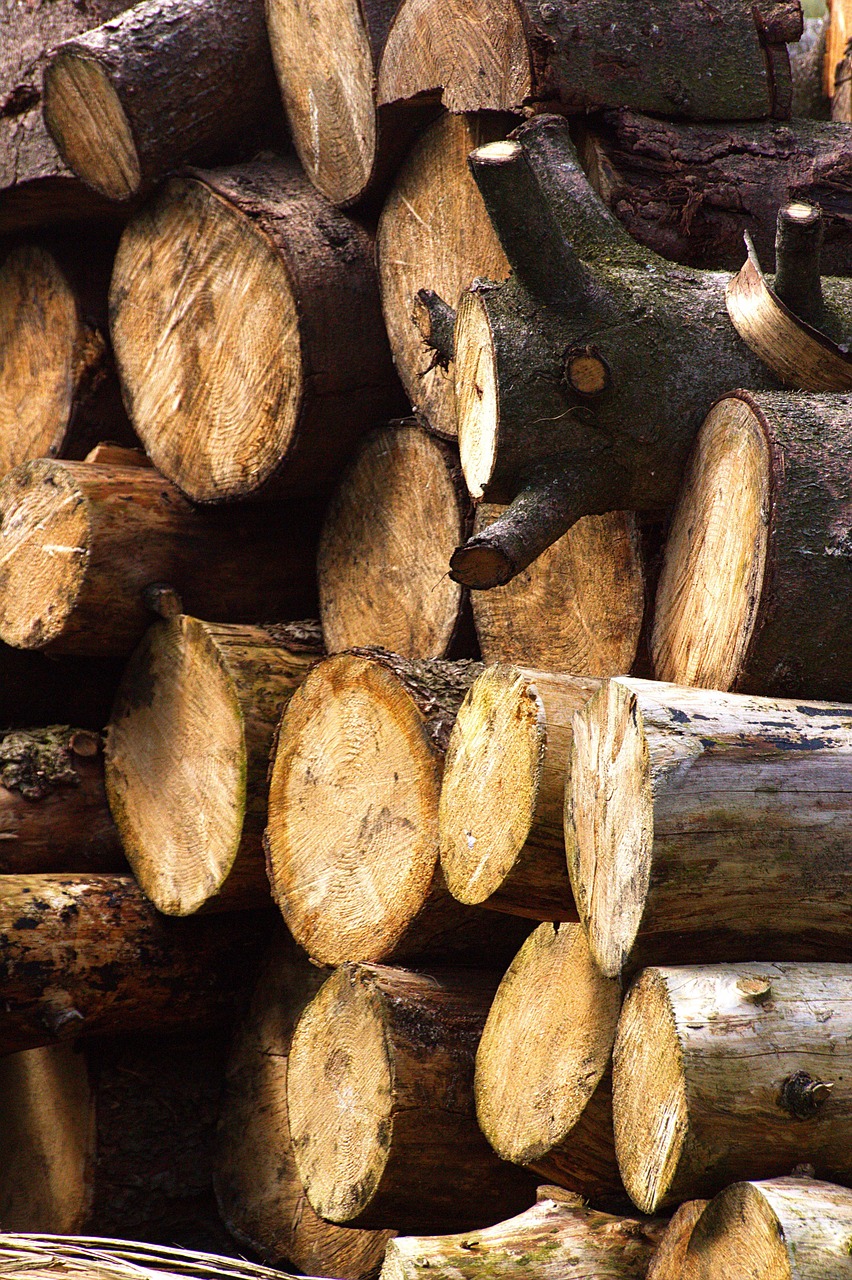 Tribes Wood Trees - Free photo on Pixabay