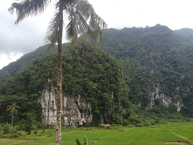 Palawan Filippinerna Berg - Gratis foto på Pixabay - Pixabay