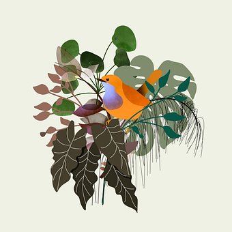 Download Bird, Monstera, Botanical. Royalty-Free Stock Illustration ...