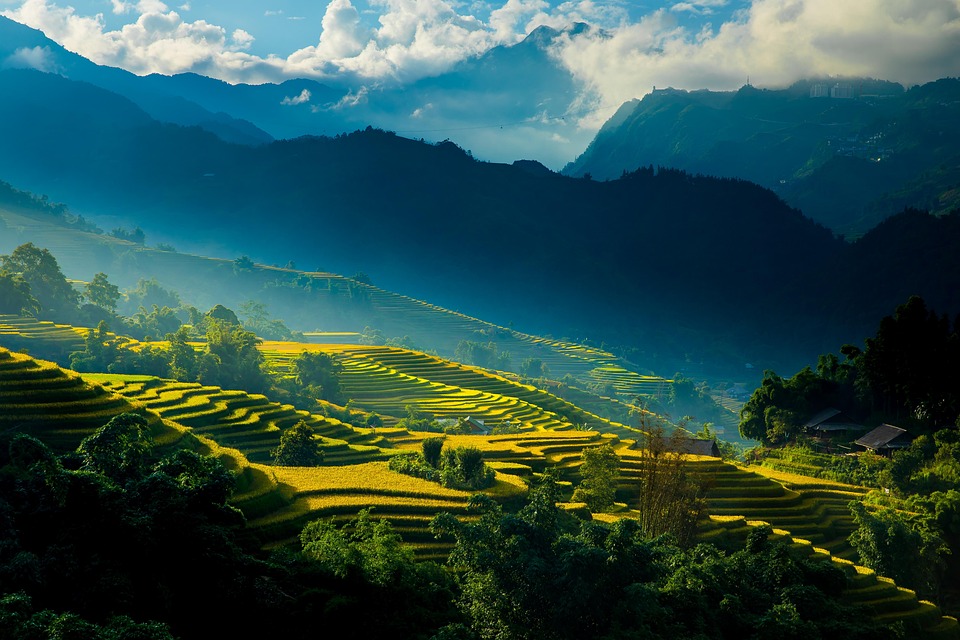 Terraces Sapa Rice - Free photo on Pixabay