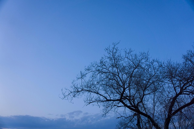 Cielo Azul De La Tarde - Foto gratis en Pixabay - Pixabay