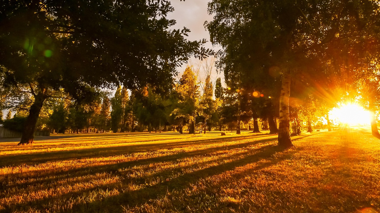 Scenery Sunrise Park - Free photo on Pixabay - Pixabay