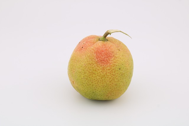 Lemon Citrus Peach - Free photo on Pixabay - Pixabay