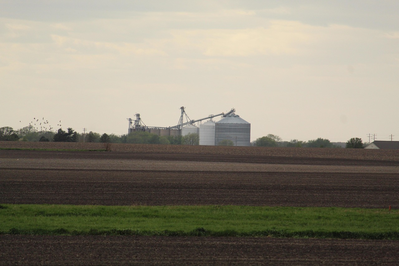 Farm Field Grain - Free photo on Pixabay - Pixabay