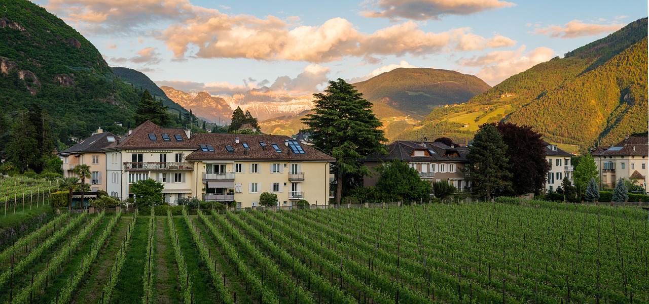 Home Vineyard Mountain - Free photo on Pixabay - Pixabay