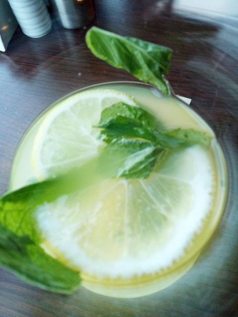 Citron Menthe Ai - Image gratuite sur Pixabay - Pixabay