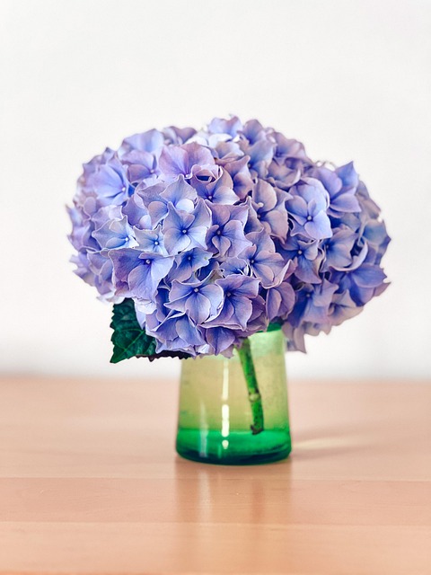 Bunga Hydrangea Tunas - Foto gratis di Pixabay - Pixabay