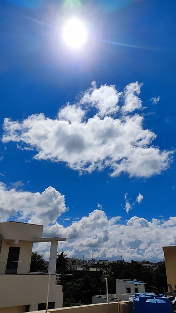 Sunny Summer Heat - Free photo on Pixabay - Pixabay