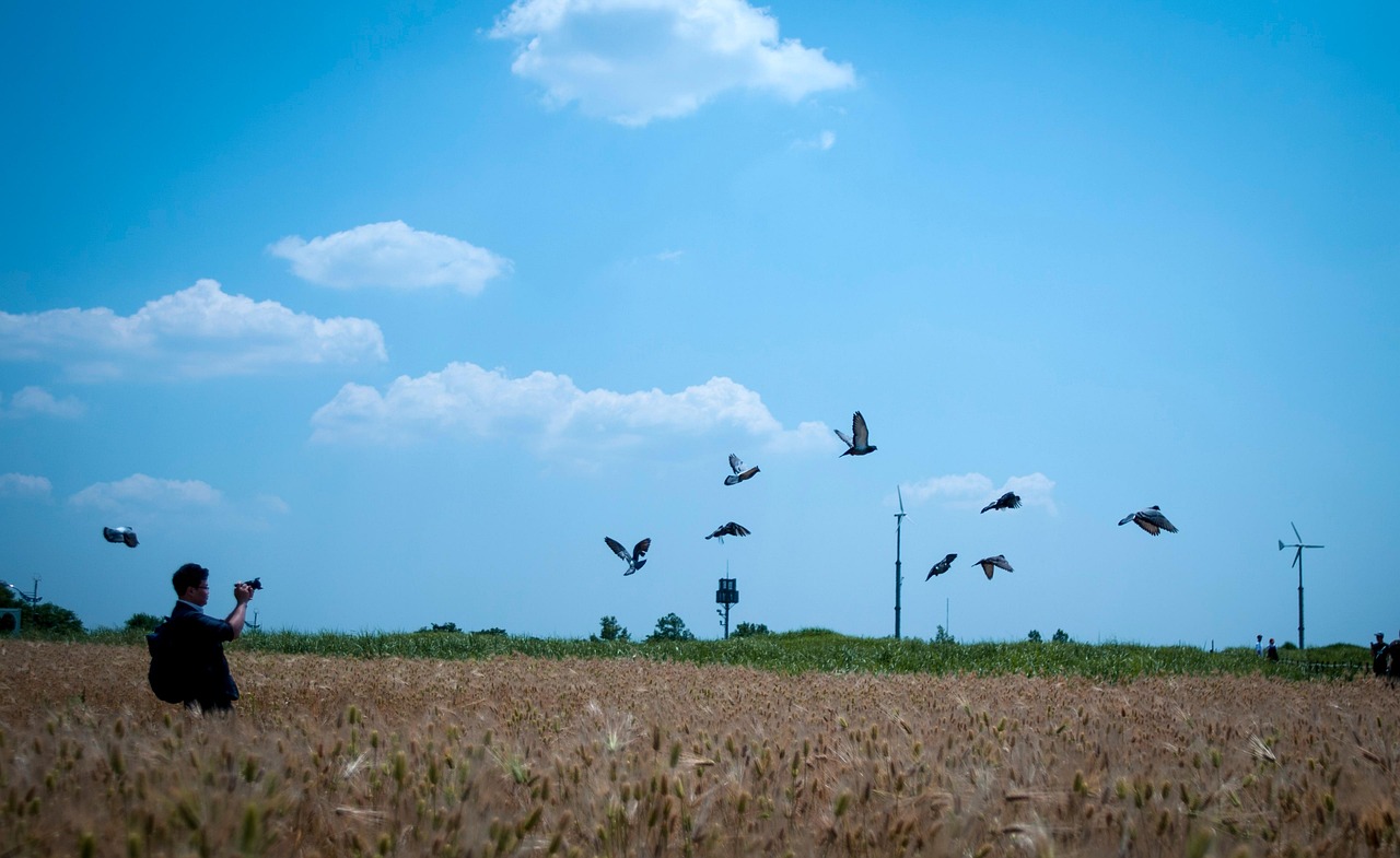 Peisaj Natura Un Câmp De Orz - Fotografie gratuită pe Pixabay - Pixabay