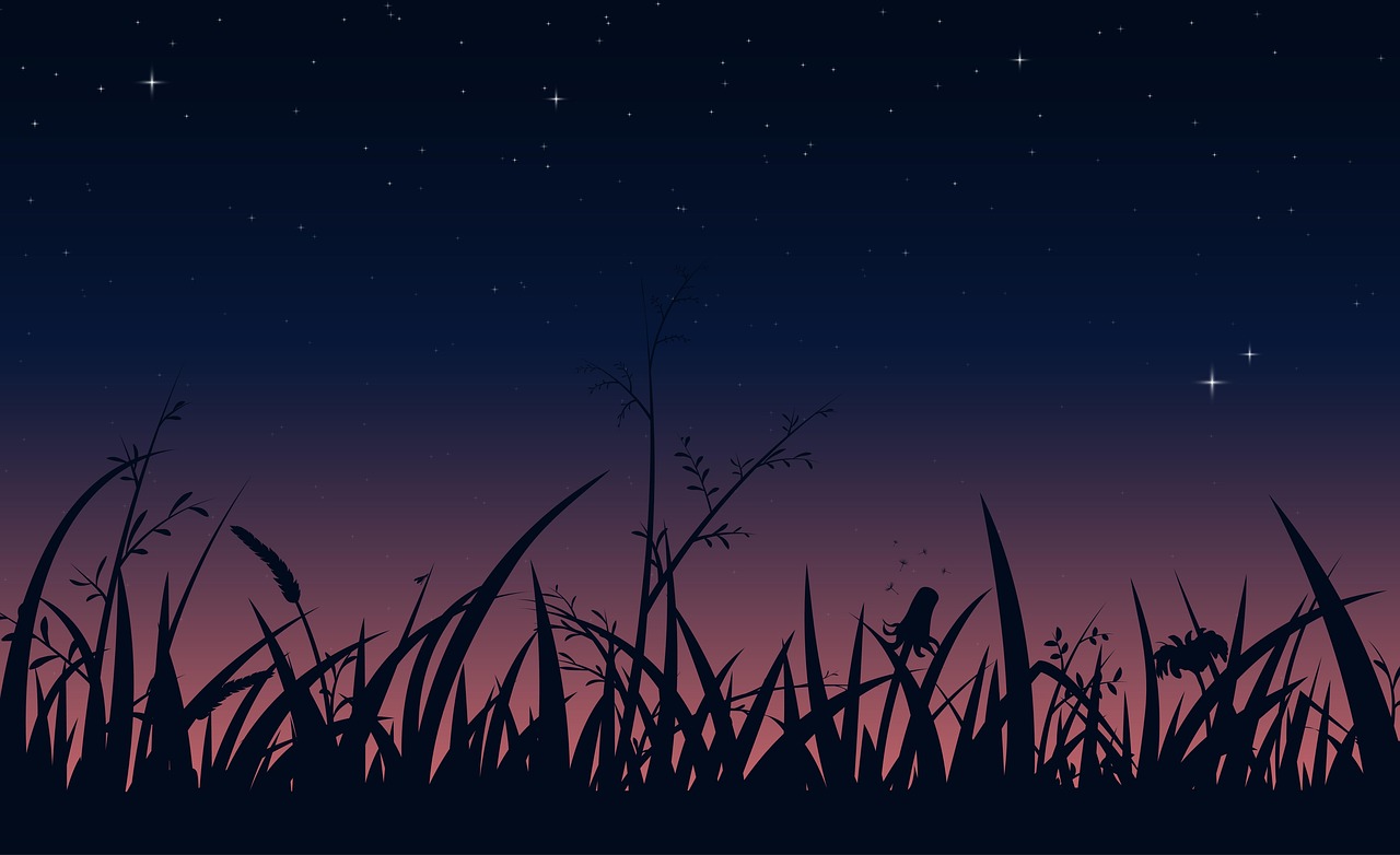 Download Night Grass Meadow Royalty Free Stock Illustration Image Pixabay