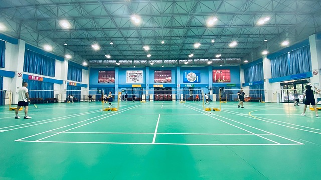 Cancha De Badminton Bádminton - Foto gratis en Pixabay - Pixabay