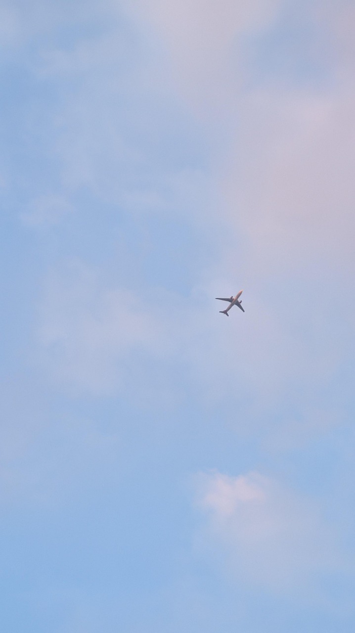 Pesawat Terbang Penerbangan Langit - Foto gratis di Pixabay - Pixabay