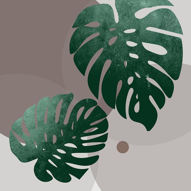 Download Plant, Monstera, Boho. Royalty-Free Stock Illustration Image ...