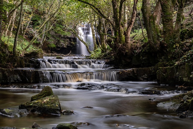 Cascada Río Rocas - Foto gratis en Pixabay - Pixabay