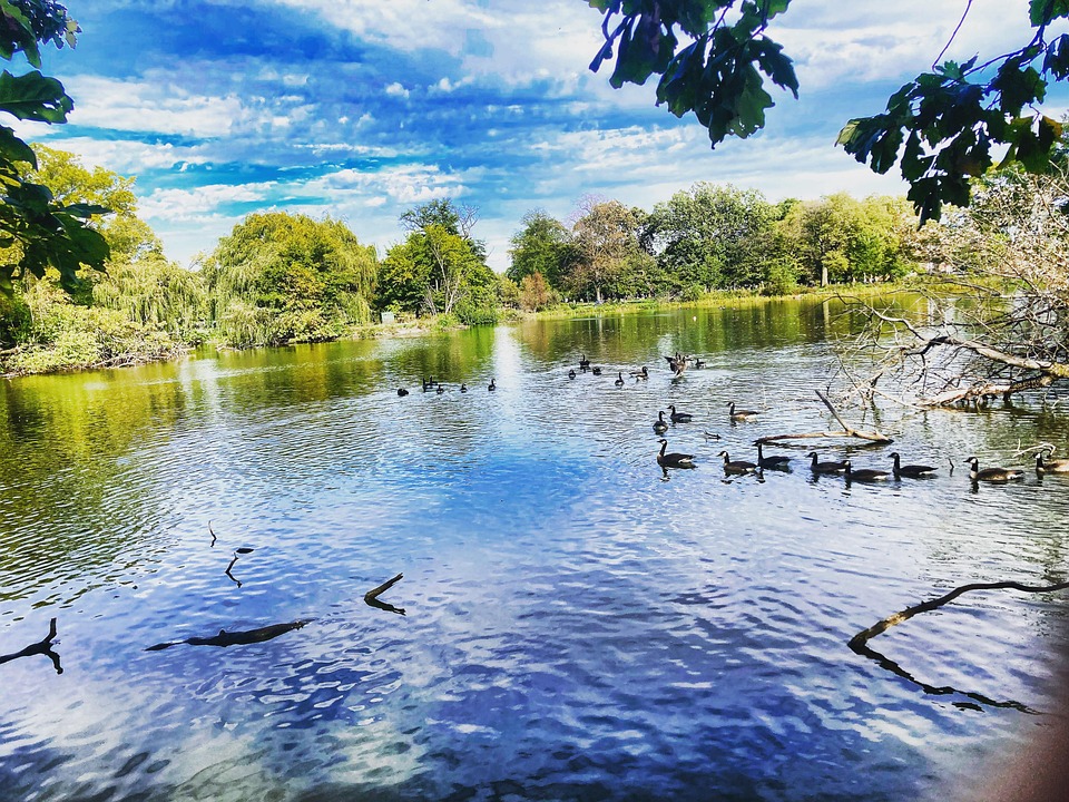 Chicago Park Natur - Kostenloses Foto auf Pixabay - Pixabay