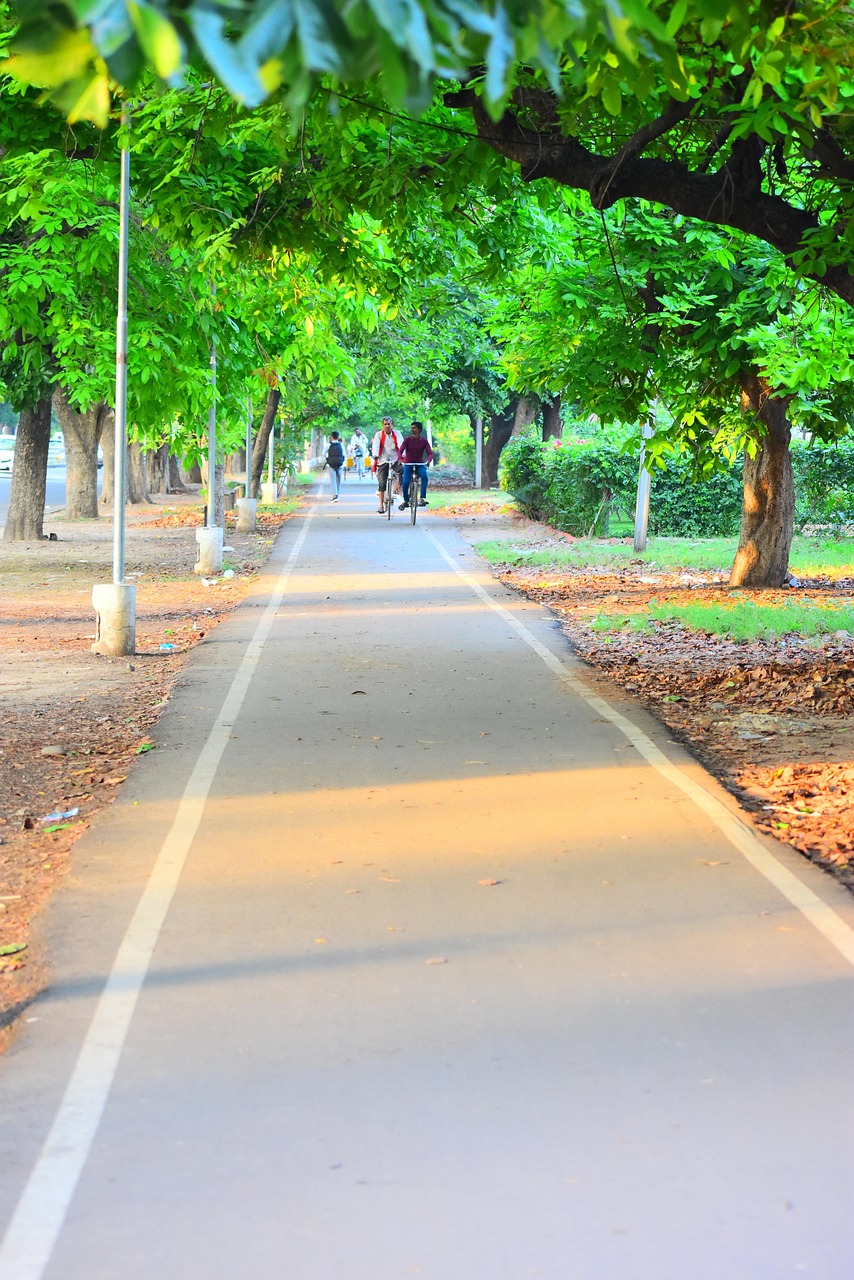 Download Free Street, Road View, Ai Generated. Royalty-Free Stock ...