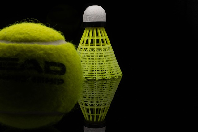 50,000+ Free Badminton Background & Badminton Images - Pixabay