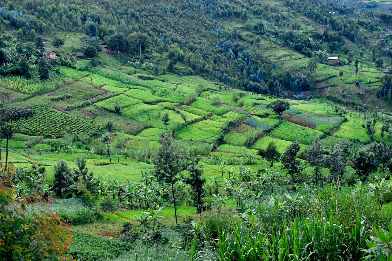 Countryside Burundi Batwa - Free photo on Pixabay