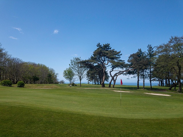Sur Le Terrain Golf Paysage - Photo gratuite sur Pixabay - Pixabay