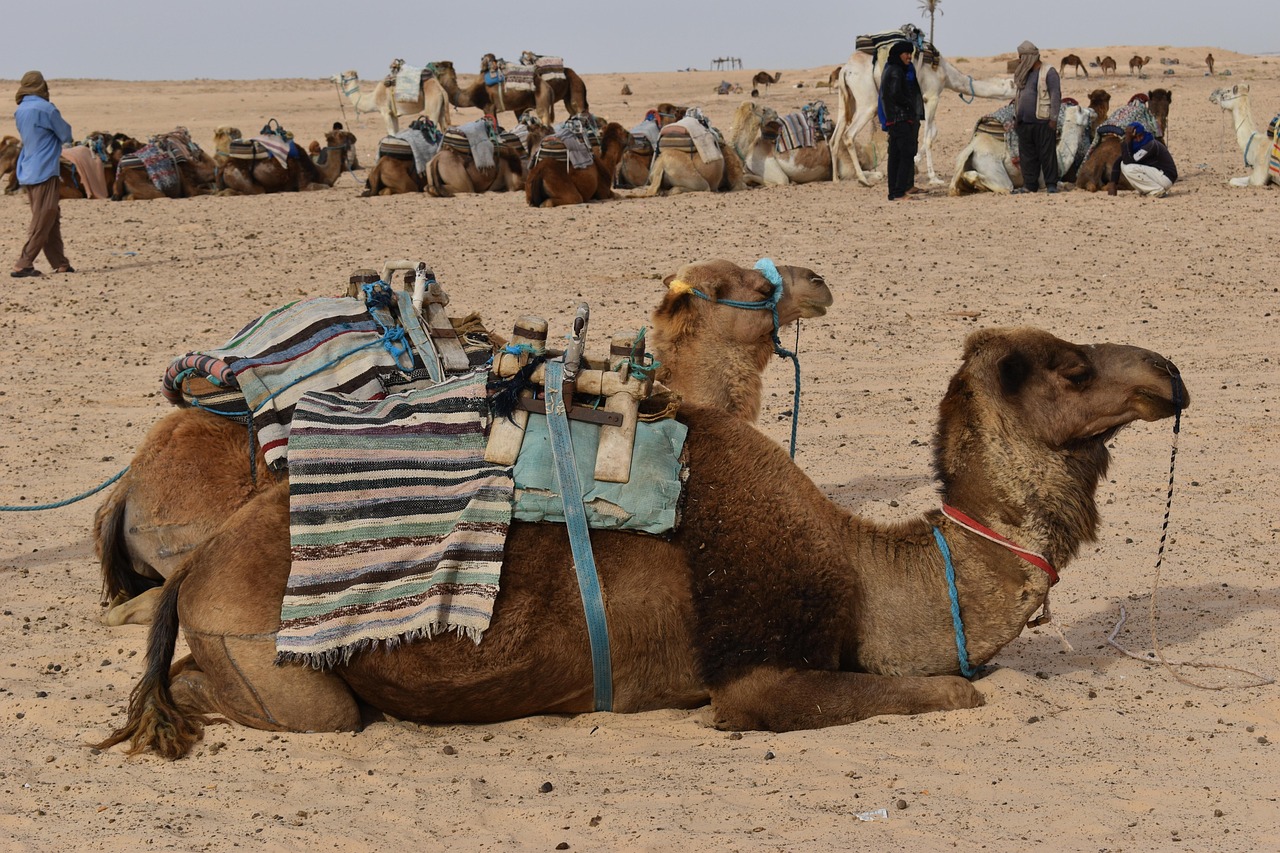 Tunisia Desert Skyline - Free photo on Pixabay - Pixabay
